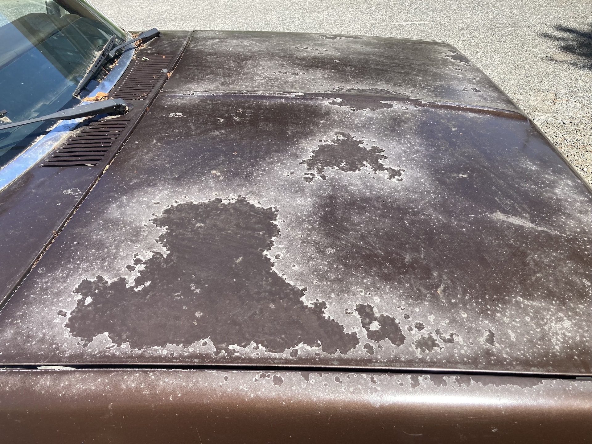 My Backyard Paint Booth - REPAIRS101
